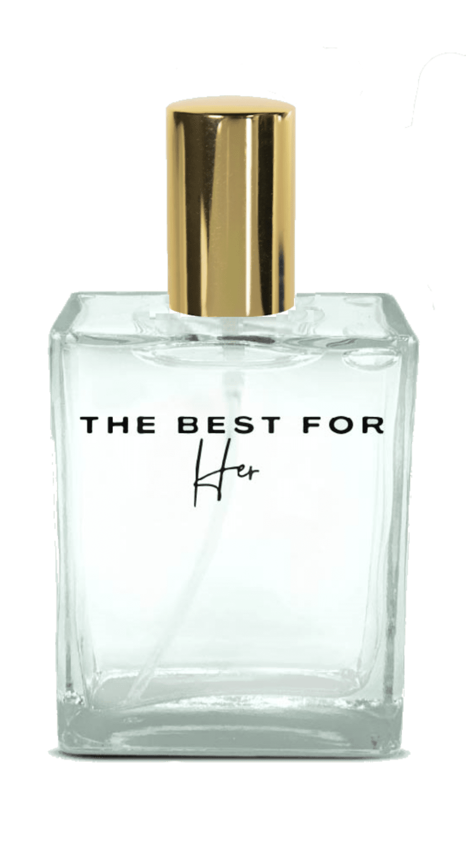 In House Fragrances - Fragrance Revival